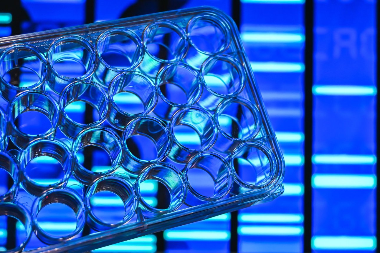 Functional Fluidics Nigeria