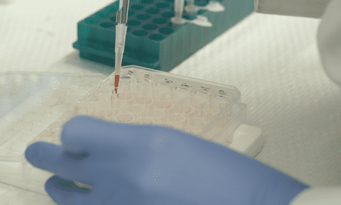 ELIPSIS | Functional Fluidics