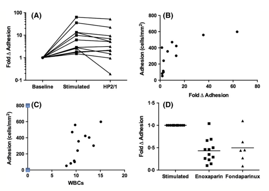 Low molecular weight heparin inhibits sickle erythrocyte adhesion to ...